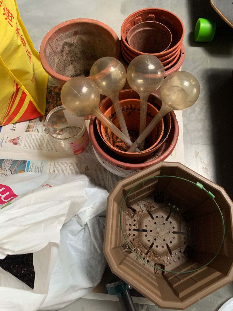 Plant stuff, Furniture & Home Living, Gardening, Pots & Planters on ...