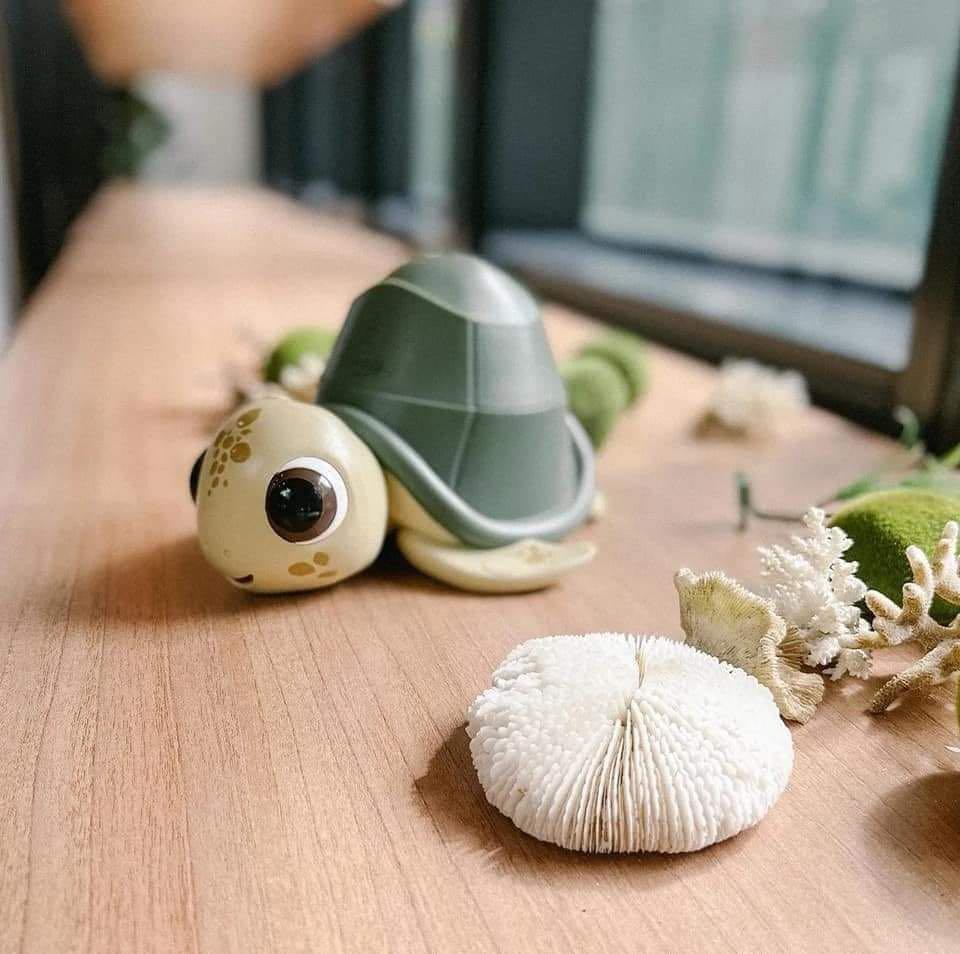 READY STOCK! Shelly The Turtle Diffuser include postage , Furniture ...