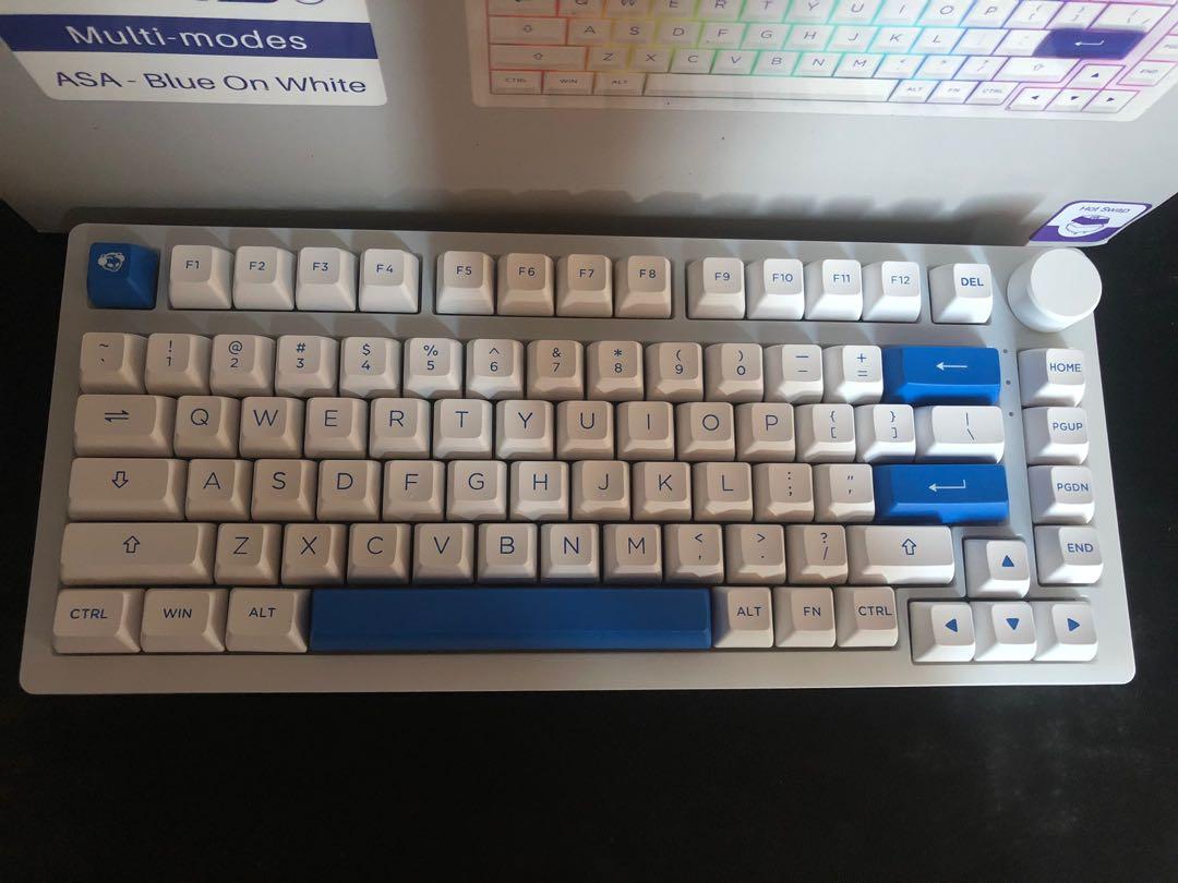 Akko PC75 B (Blue on White), Computers & Tech, Parts & Accessories ...