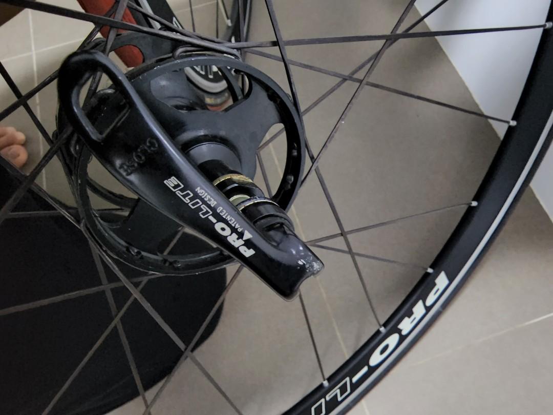 Pro-Lite Gavia Campagnolo 700c wheelset, Sports Equipment, Bicycles ...