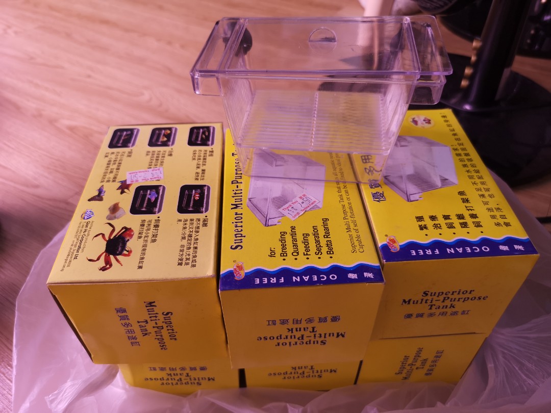 Small breeding tank, Pet Supplies, Homes & Other Pet Accessories on ...