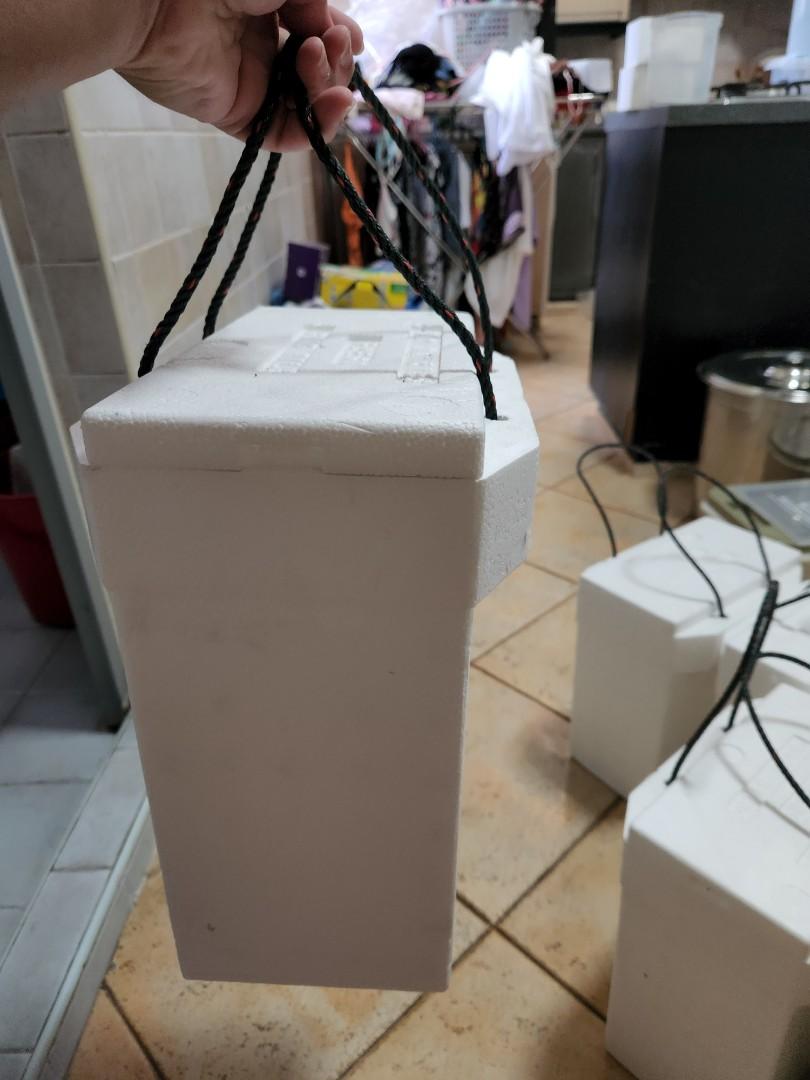 Styrofoam Thermal Carrying Box, Furniture & Home Living, Home ...