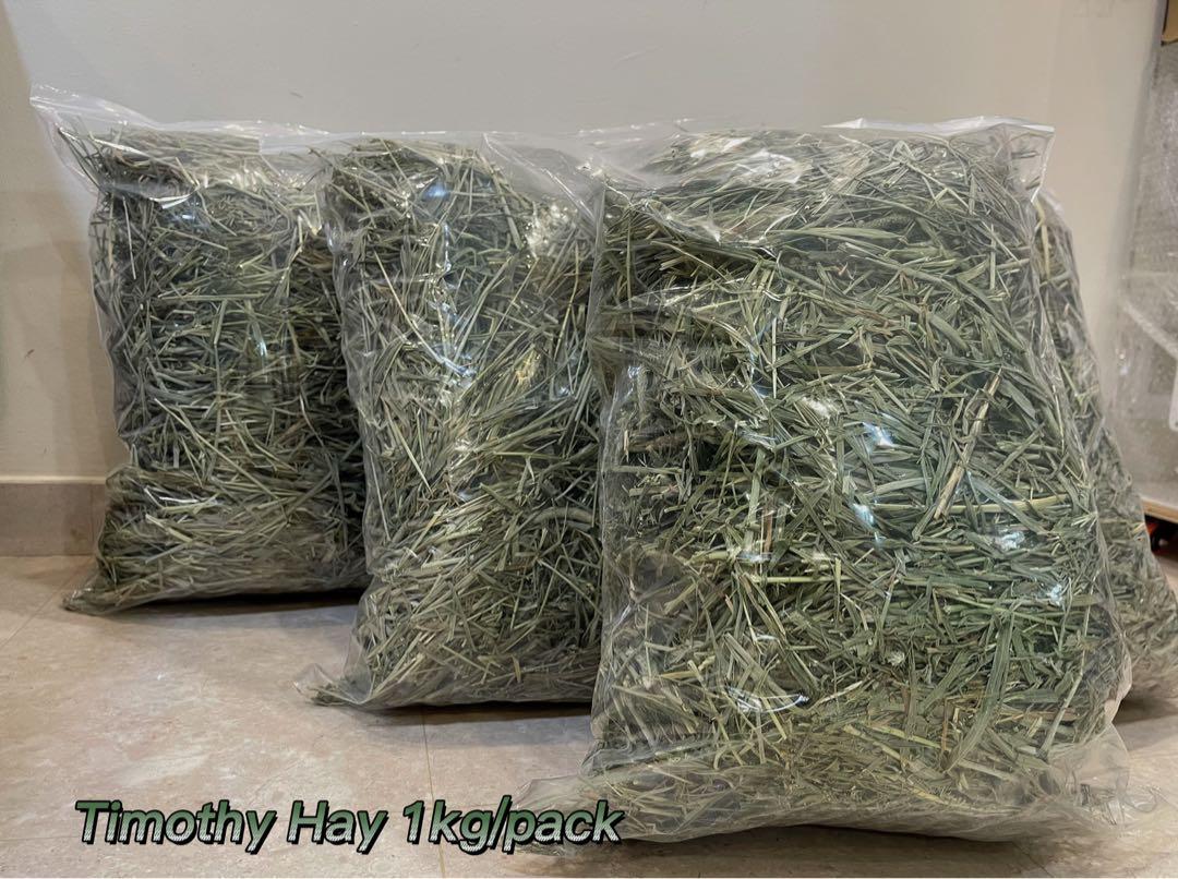 Fresh Timothy Hay for Chinchilla / Rabbits, Pet Supplies, Pet Food on ...