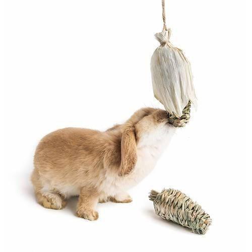 Niteangel Timothy Corn, Pet Supplies, Homes & Other Pet Accessories on ...