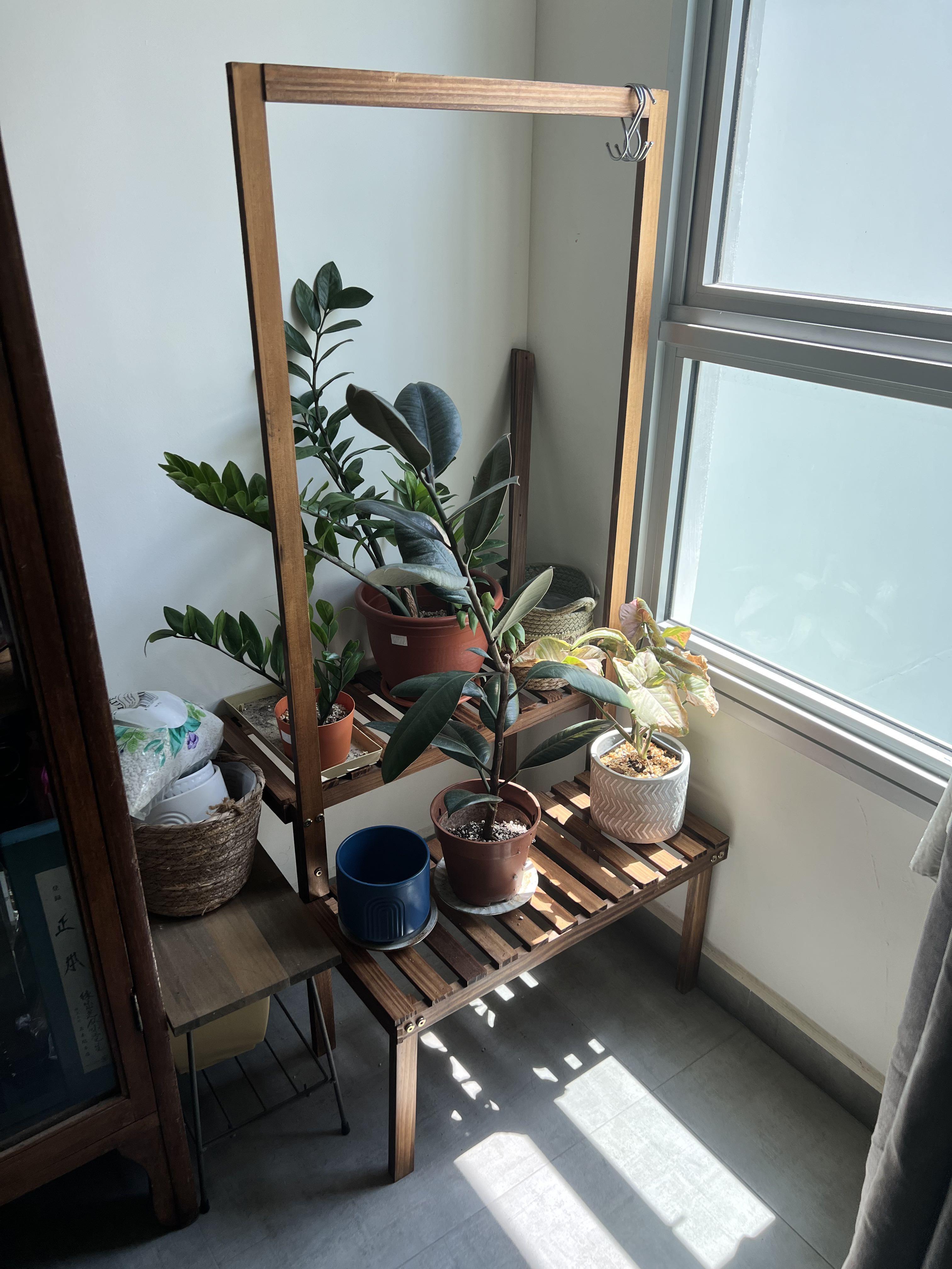 Wooden plant display shelf, Furniture & Home Living, Gardening, Pots ...