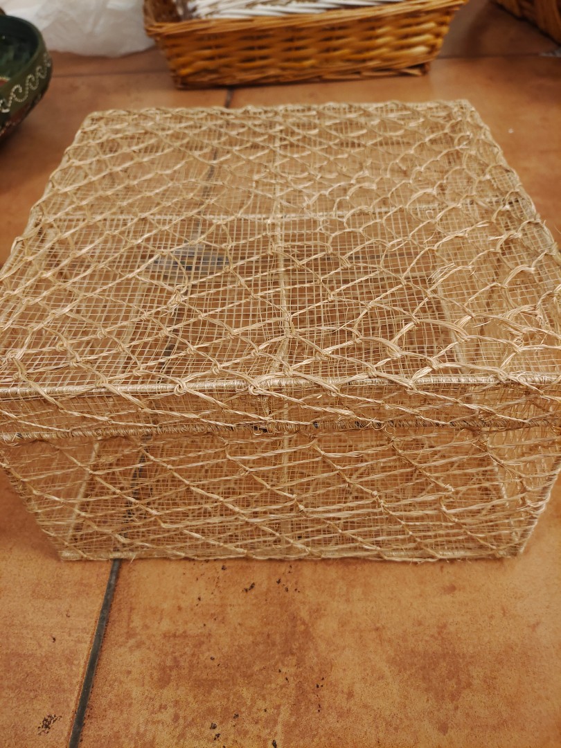 classy translucent basket, Furniture & Home Living, Home Improvement ...