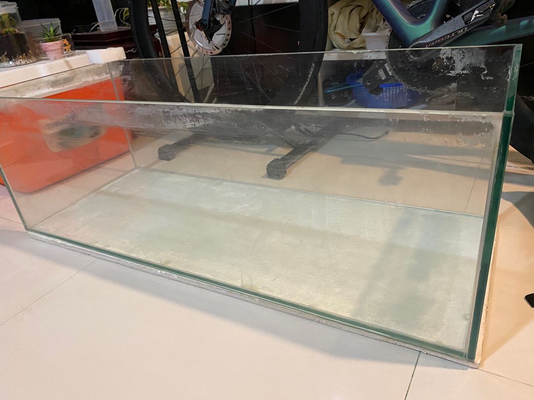 Crystal Glass Low Profile Tank, Pet Supplies, Homes & Other Pet ...