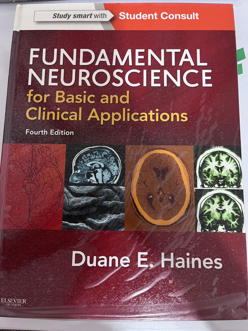 Fundamental Neuroscience, Hobbies & Toys, Books & Magazines, Textbooks ...