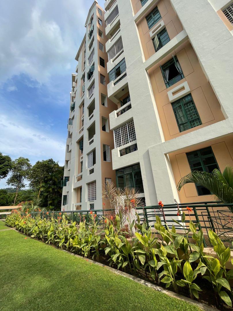 Hillview Heights, Property, Rentals, Room Rentals on Carousell
