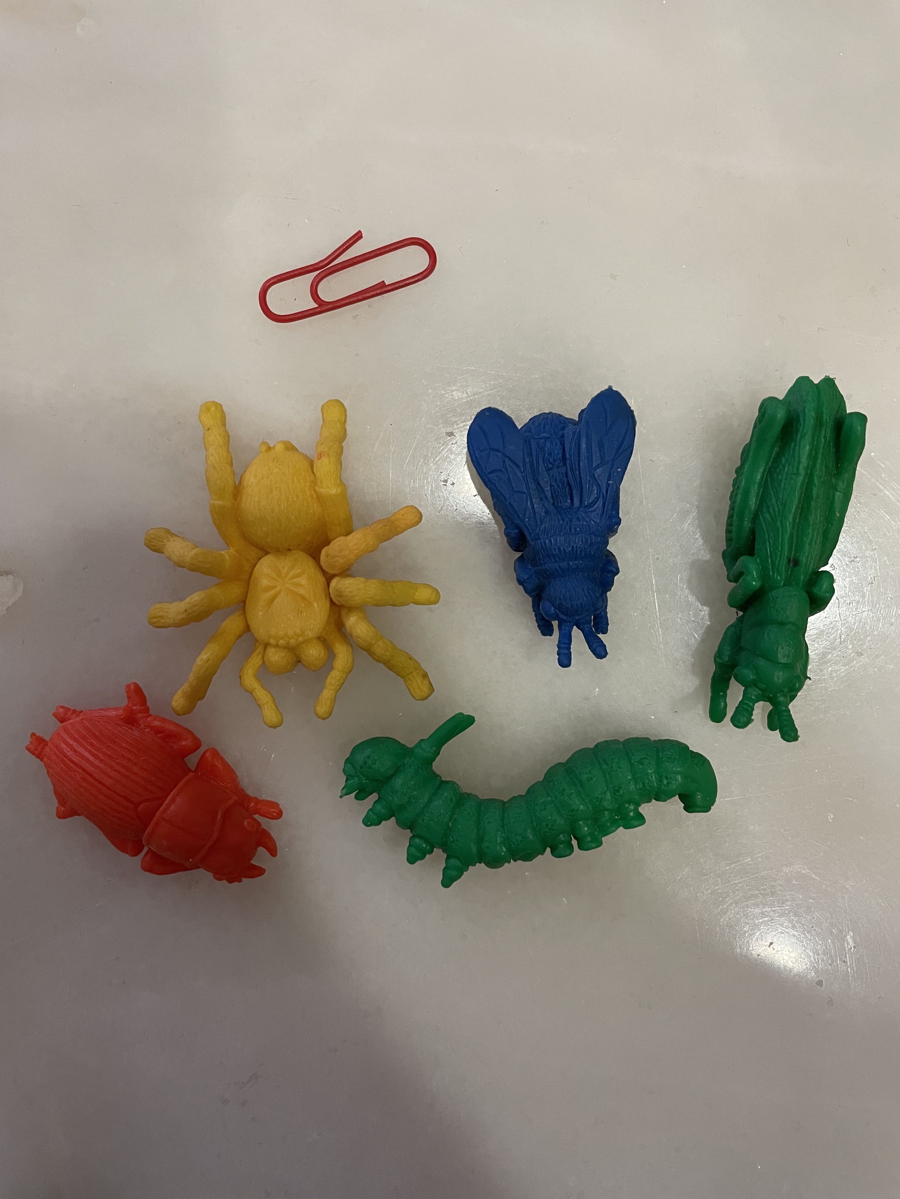 Real life replica of Insects toy, Hobbies & Toys, Toys & Games on Carousell