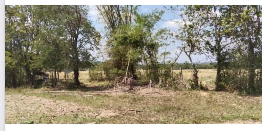 16 hectare title lot in Tanay Rizal, Property, For Sale, Lot on Carousell