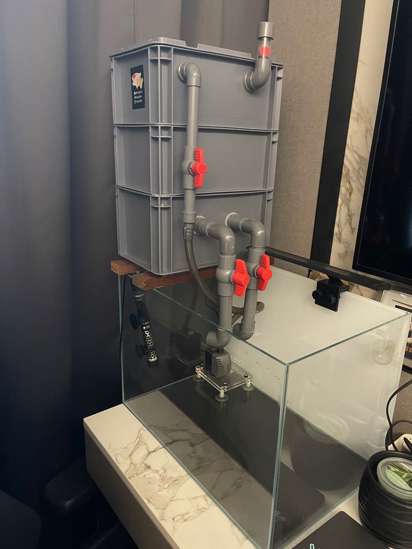 50cm fish tank set, Pet Supplies, Homes & Other Pet Accessories on ...