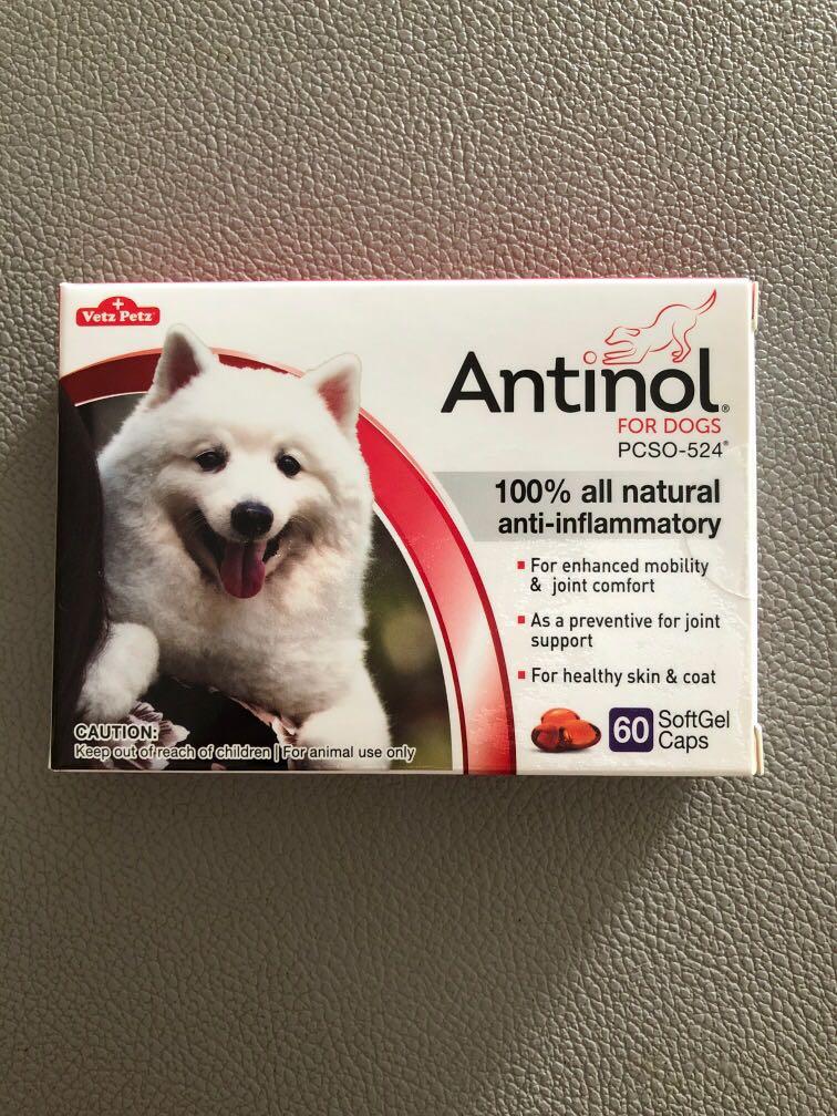 Antinol for dogs, Pet Supplies, Health & Grooming on Carousell