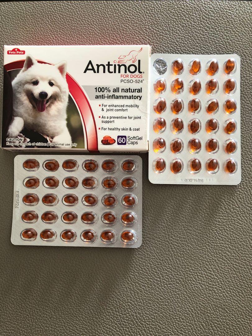 Antinol for dogs, Pet Supplies, Health & Grooming on Carousell