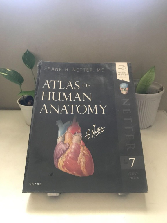 Atlas of Human Anatomy, 7th Edition (Frank H. Netter), Hobbies & Toys ...