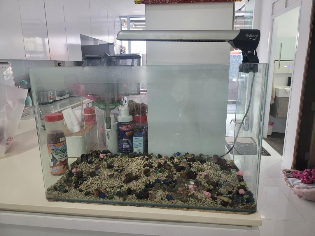 Free Fish Tank 60 x 30 x 30cm, Pet Supplies, Homes & Other Pet ...
