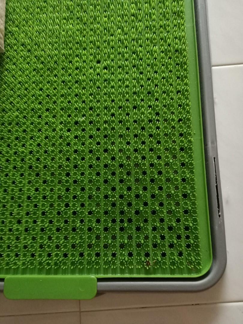 Grass Pee Tray for pet potty training, Pet Supplies, Homes & Other Pet ...