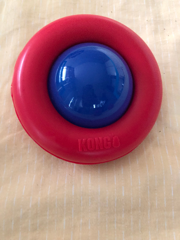 Kong Gyro Small, Pet Supplies, Homes & Other Pet Accessories on Carousell