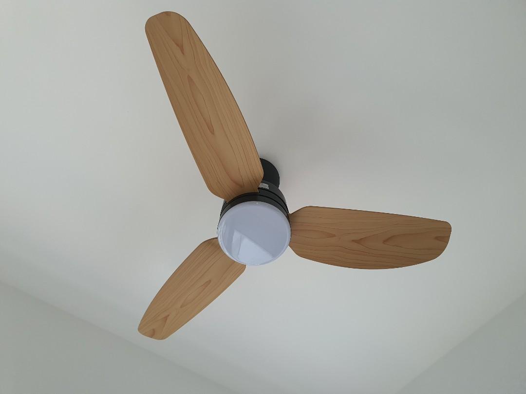 Ceiling Fan - Daiko Raku 42" Pinewood - BNIB, Furniture & Home Living ...