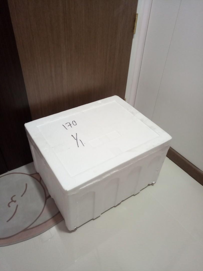Large styrofoam box, Furniture & Home Living, Kitchenware & Tableware ...