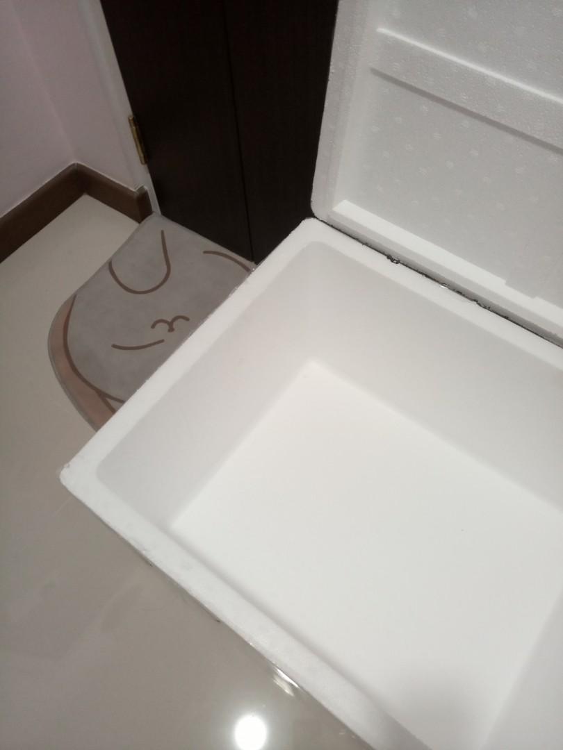 Large styrofoam box, Furniture & Home Living, Kitchenware & Tableware ...