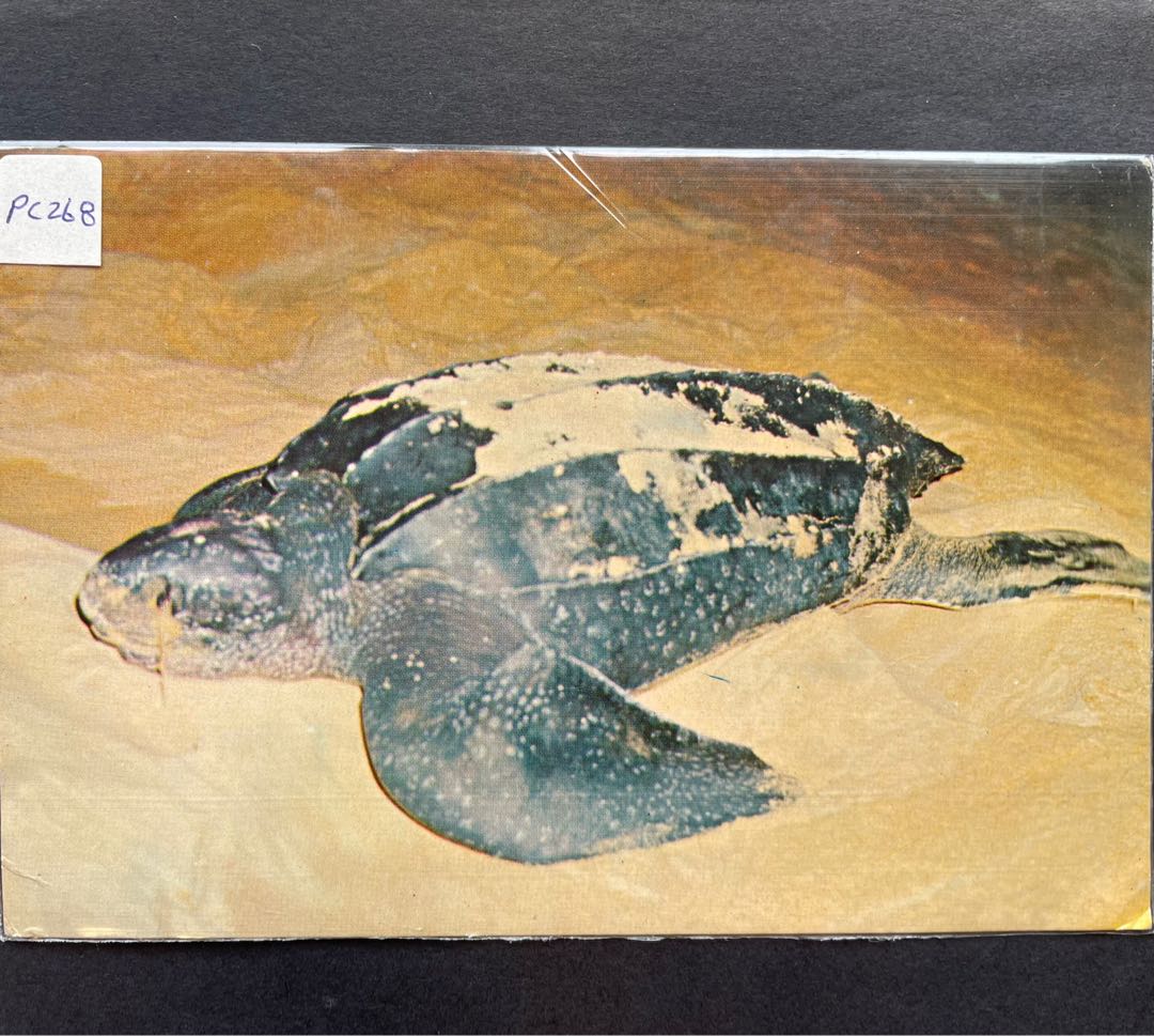 PC268 - Malaysia 1970 Turtles Laying Eggs in Terengganu with 10c ...
