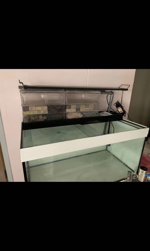 3 feet fish tank full set, Pet Supplies, Homes & Other Pet Accessories ...