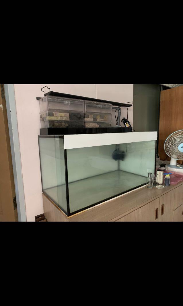 3 feet fish tank full set, Pet Supplies, Homes & Other Pet Accessories ...