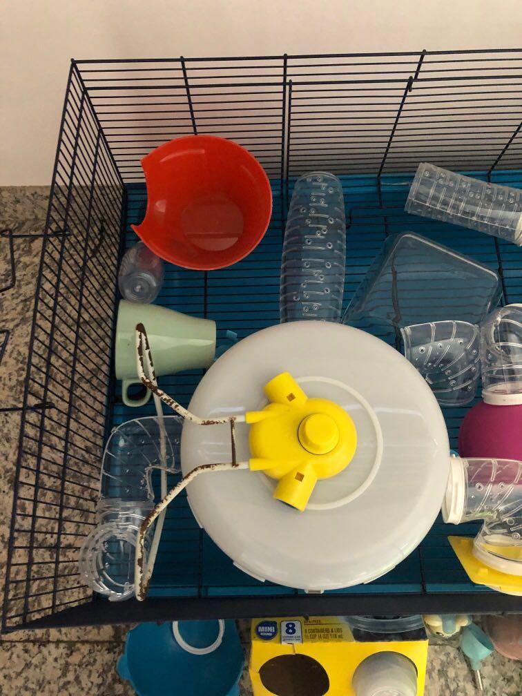 Approved Starter Hamster Pack, Pet Supplies, Homes & Other Pet ...