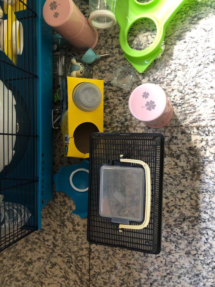 Approved Starter Hamster Pack, Pet Supplies, Homes & Other Pet ...