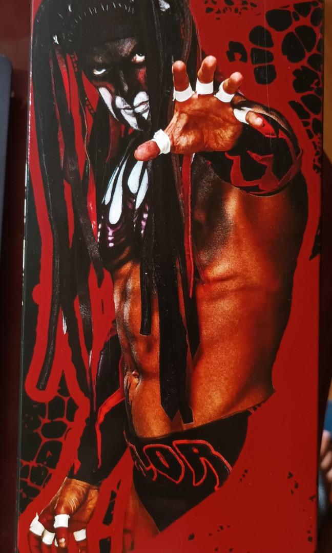 Finn Balor statue WWE NXT 2K17, Hobbies & Toys, Toys & Games on Carousell