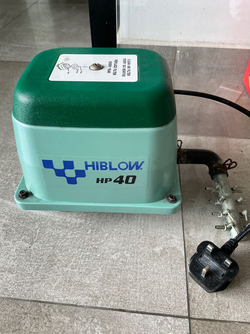 HiBlow 40, Pet Supplies, Homes & Other Pet Accessories on Carousell