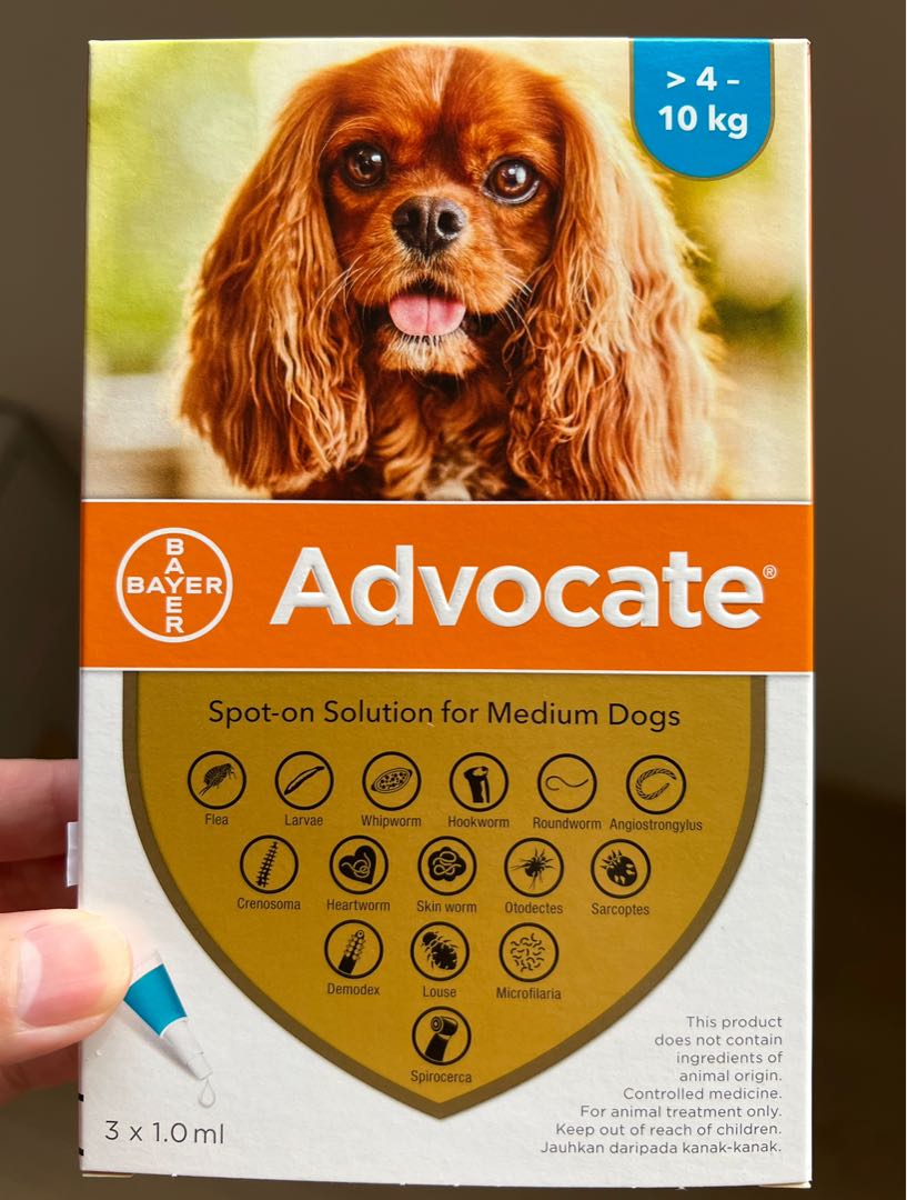 Advocate for dogs, Pet Supplies, Health & Grooming on Carousell