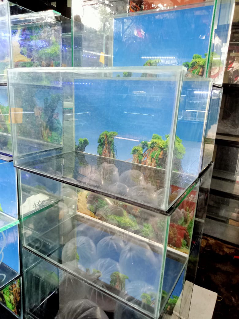 Aquarium ukuran 80x40x40, Perlengkapan Hewan, Aksesoris Hewan di Carousell