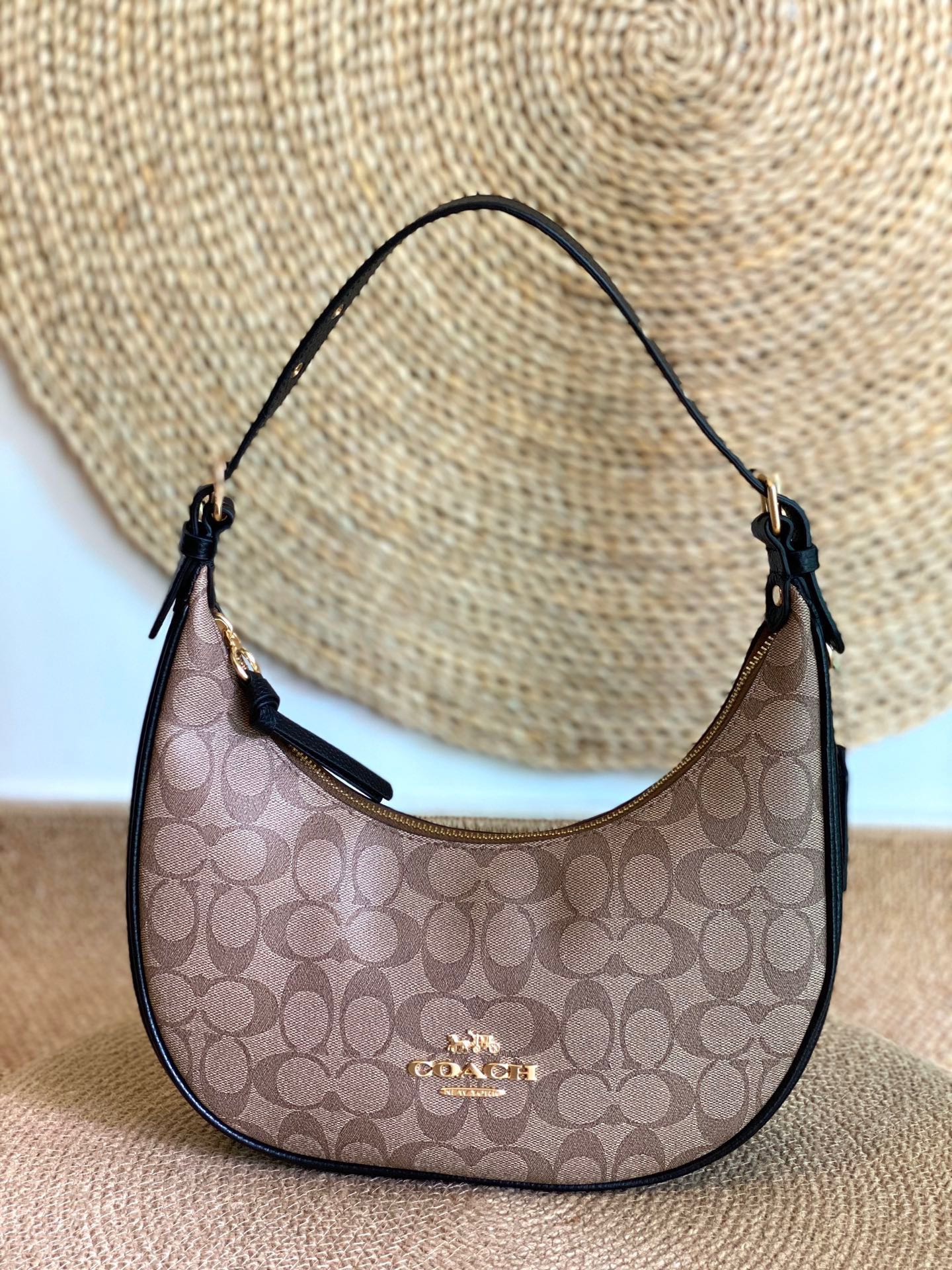 Coach Mini Bailey Pleated Hobo Bag in Brown, Women's Fashion, Bags ...