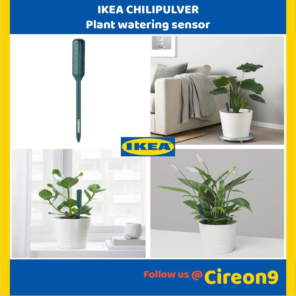 IKEA plant watering sensor, Furniture & Home Living, Gardening, Hose ...
