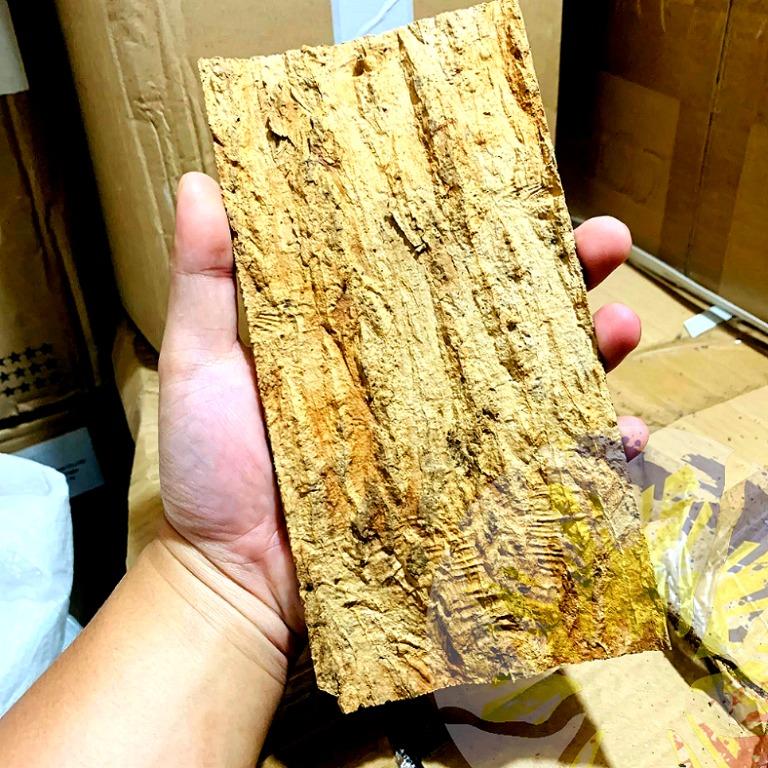 NATURAL CORK BARK BACKGROUND, Pet Supplies, Homes & Other Pet ...