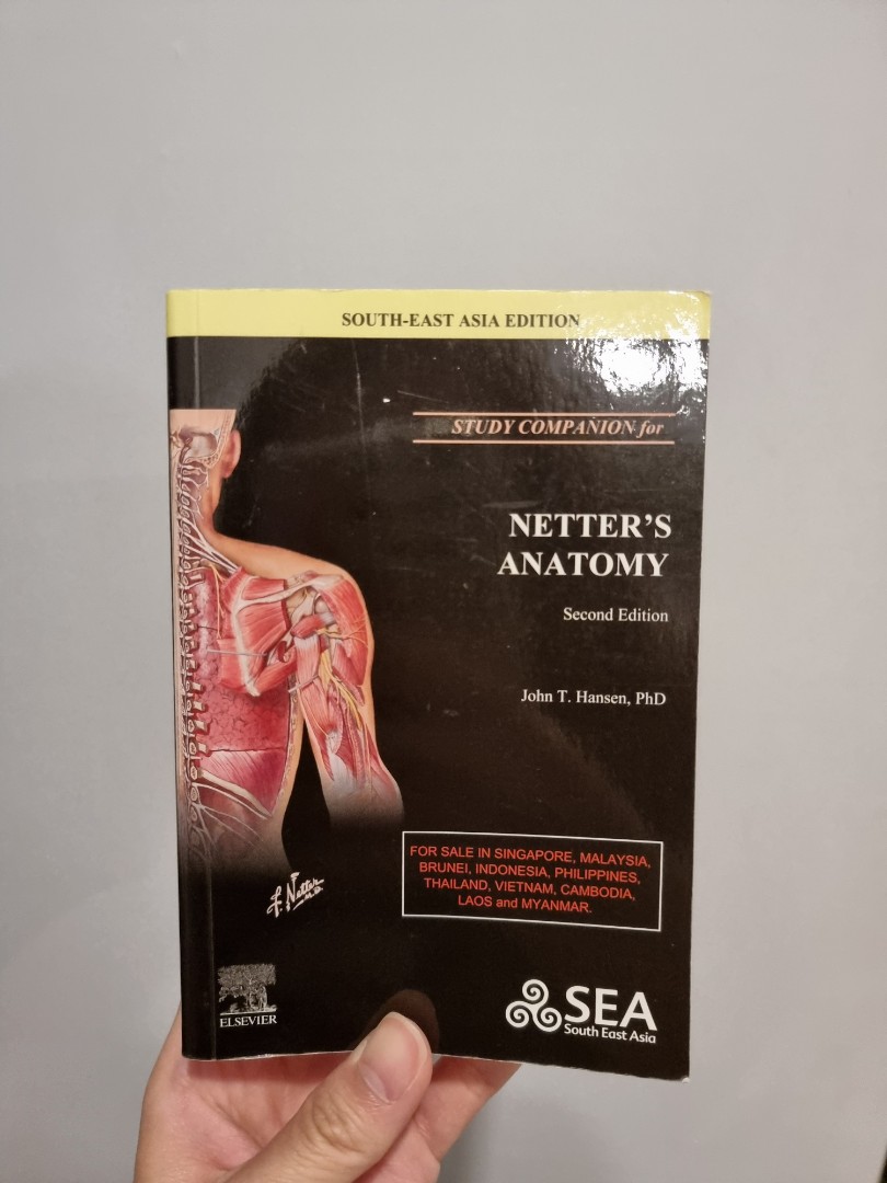 Pocket Netter's Anatomy, Hobbies & Toys, Books & Magazines, Textbooks ...