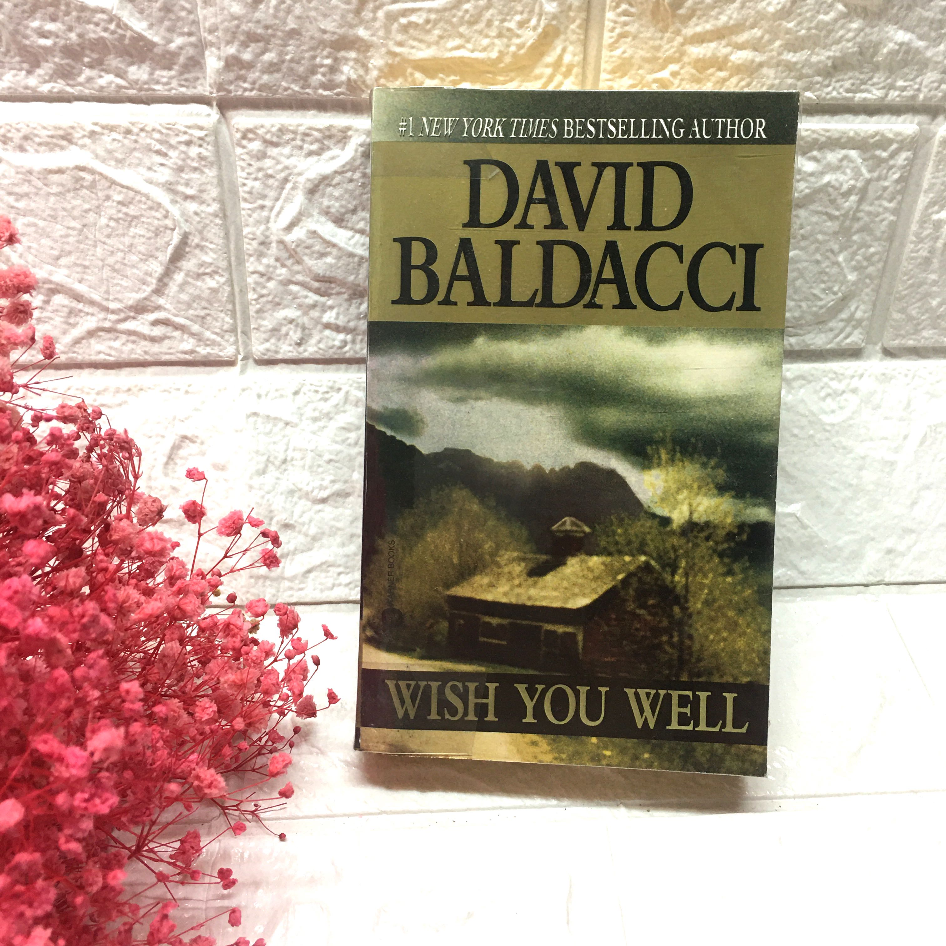 Wish You Well by David Baldacci, Hobbies & Toys, Books & Magazines ...
