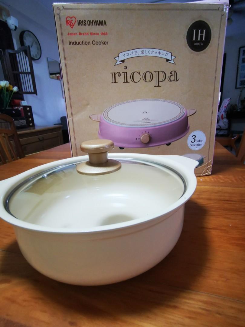Beautiful Induction Cooker (Beige), TV & Home Appliances, Kitchen ...