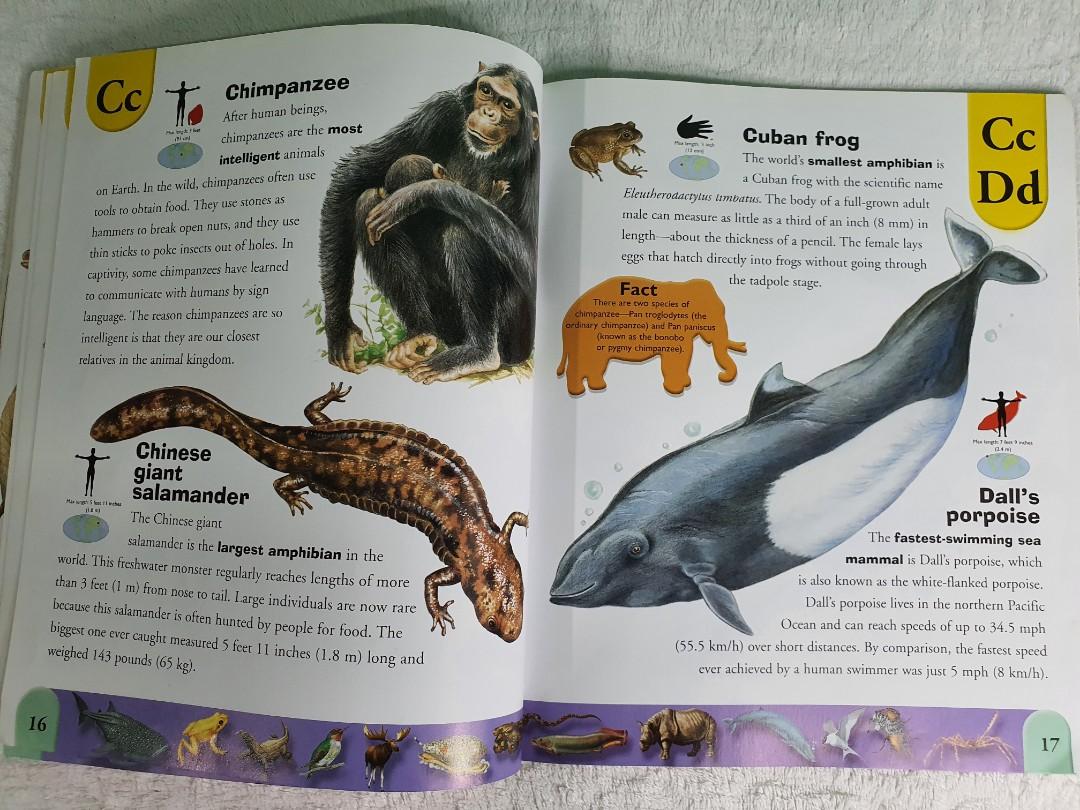 Extreme Animals Dictionary, Hobbies & Toys, Books & Magazines, Children ...