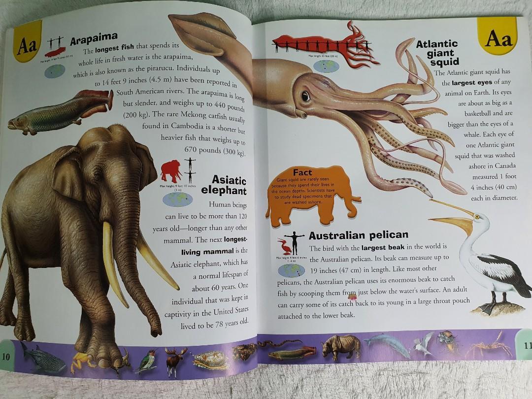 Extreme Animals Dictionary, Hobbies & Toys, Books & Magazines, Children ...
