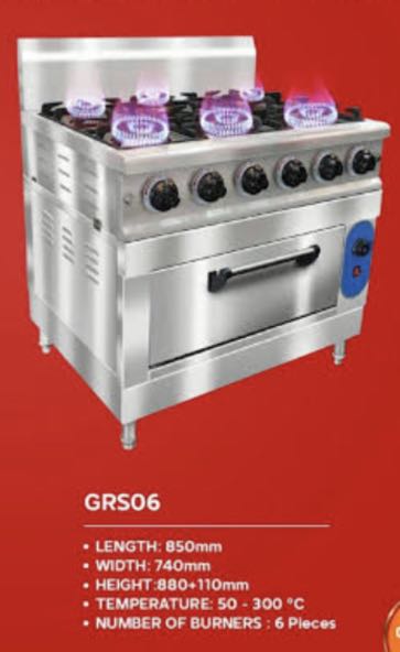 MERIT Stainless Steel Industrial 6 Burner with Oven., Furniture & Home ...