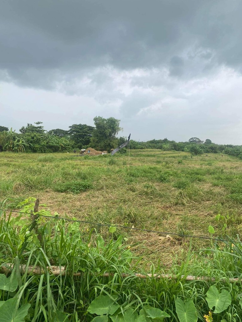 Prime Lot For Sale, Property, For Sale, Lot on Carousell
