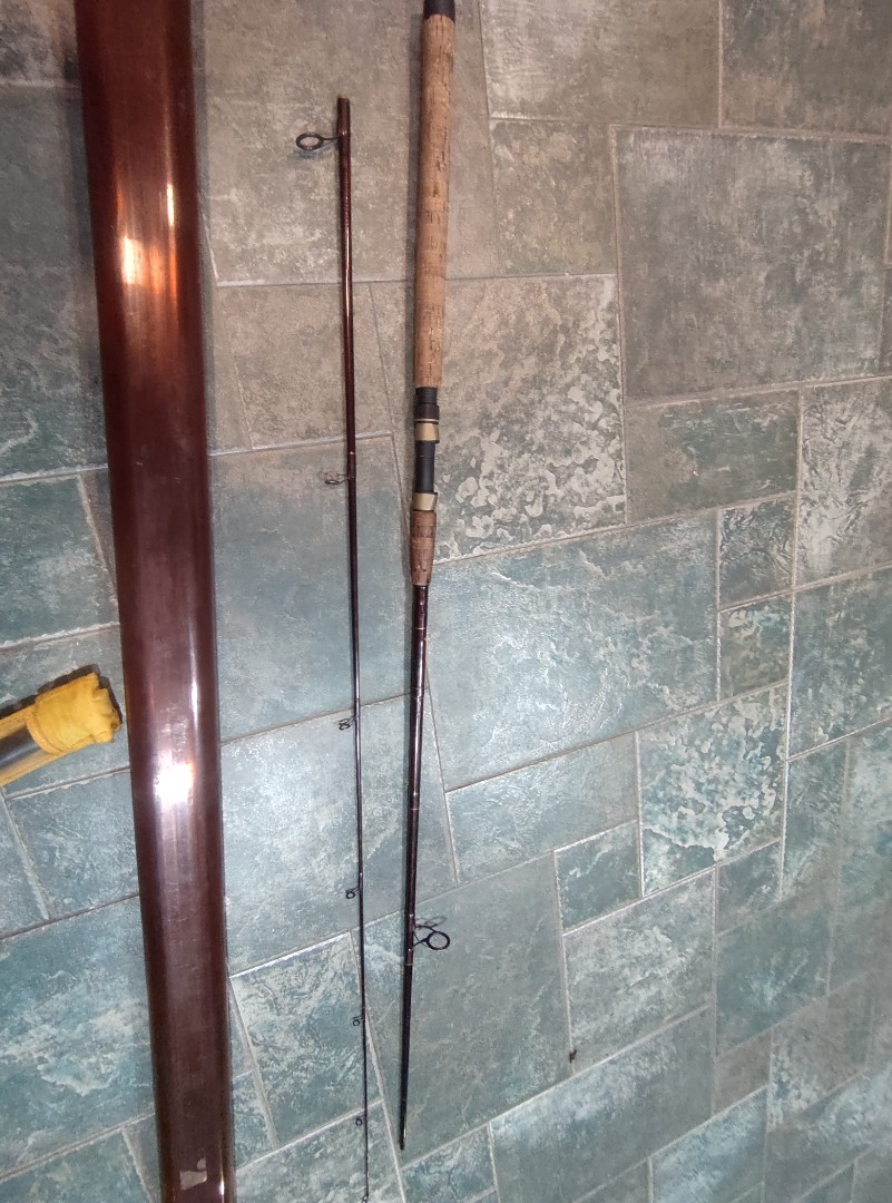 Sabre fishing rod, Sports Equipment, Fishing on Carousell