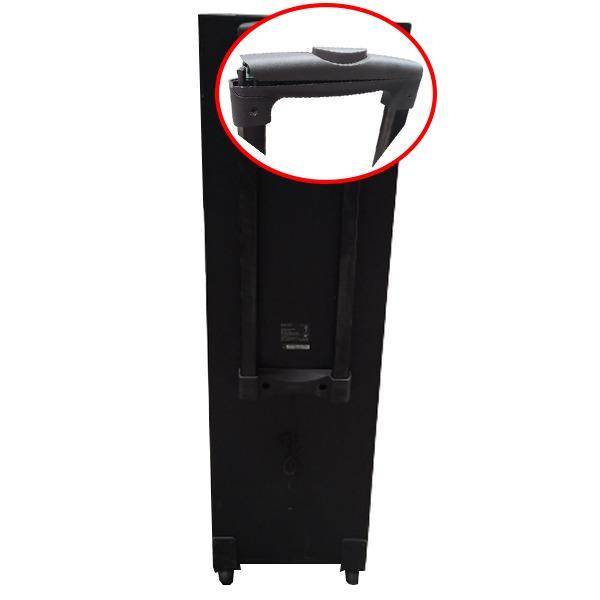 BAUHN APPSK-1120 Portable Party Speaker w/o Microphone & Remote, Audio ...