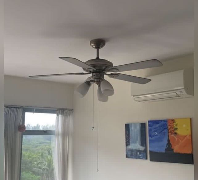 40 Inch Ceiling Fan Singapore | Shelly Lighting
