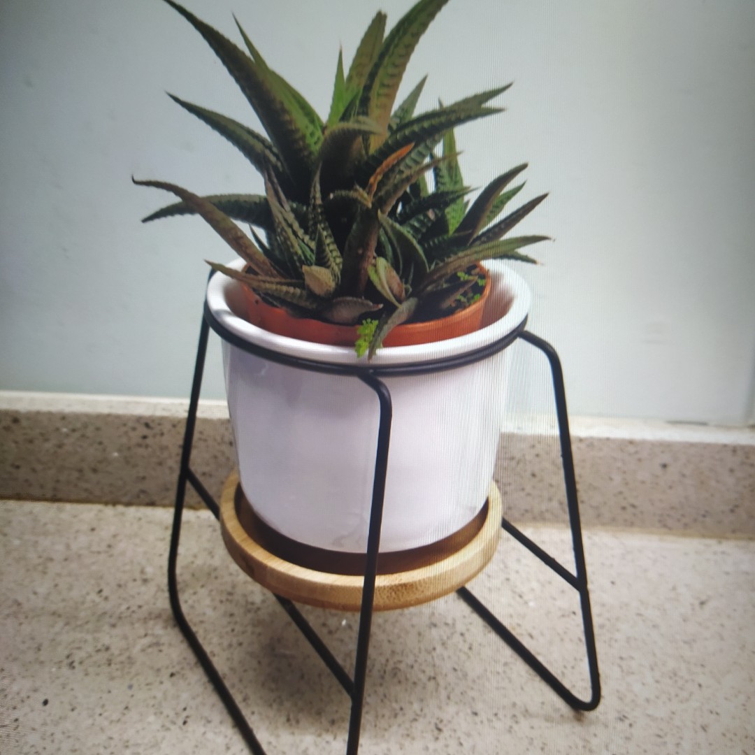 Ceramic Pot with Stand, Furniture & Home Living, Gardening, Pots ...