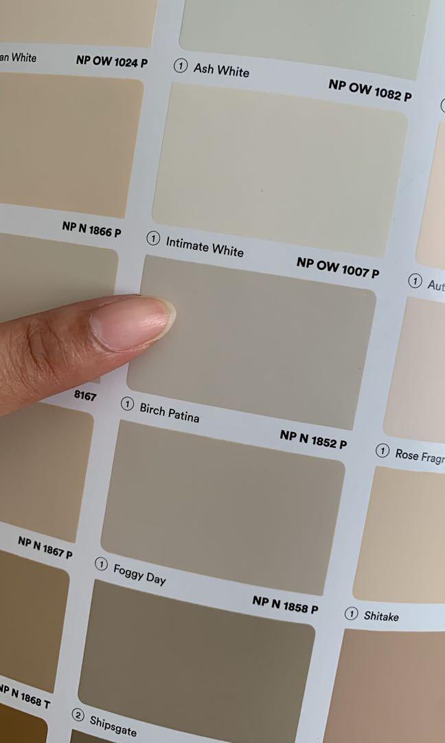 (Sail White & Birch Patina) Nippon Paint, Emulsion, Furniture & Home ...