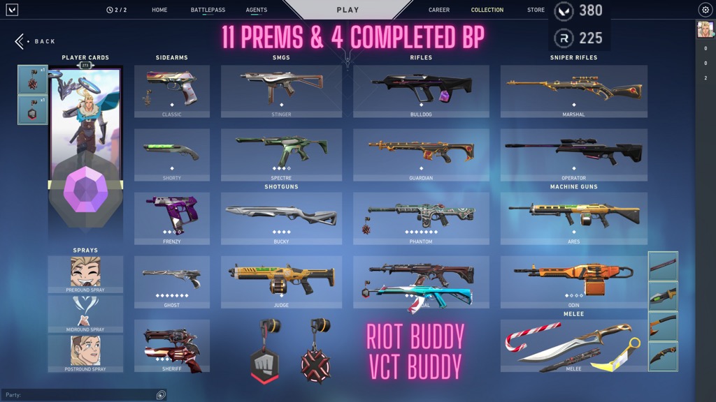 RAREST RIOT AND VCT GUN BUDDY WITH RUIN DAGGER 11 PREMIUM SKINS ...